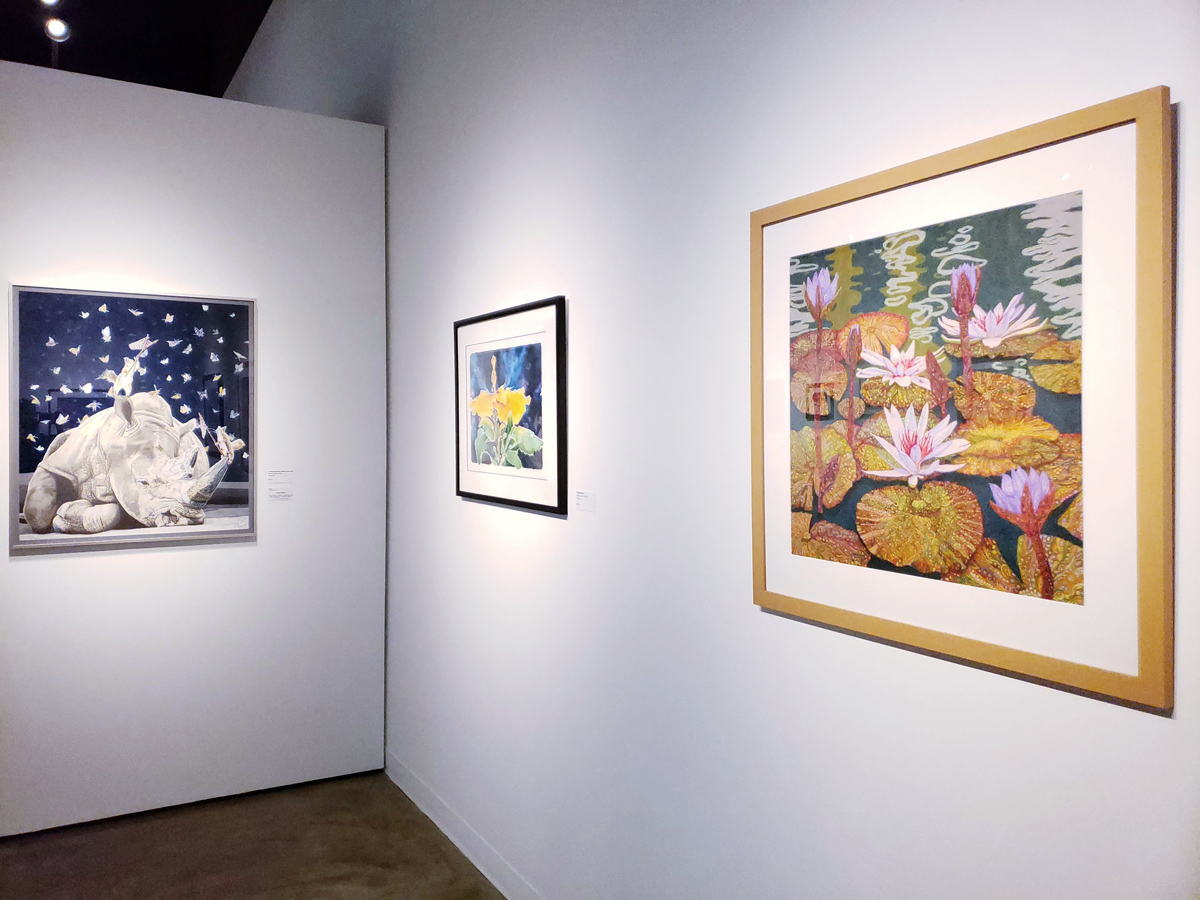 Pencil Paintings Art Gallery