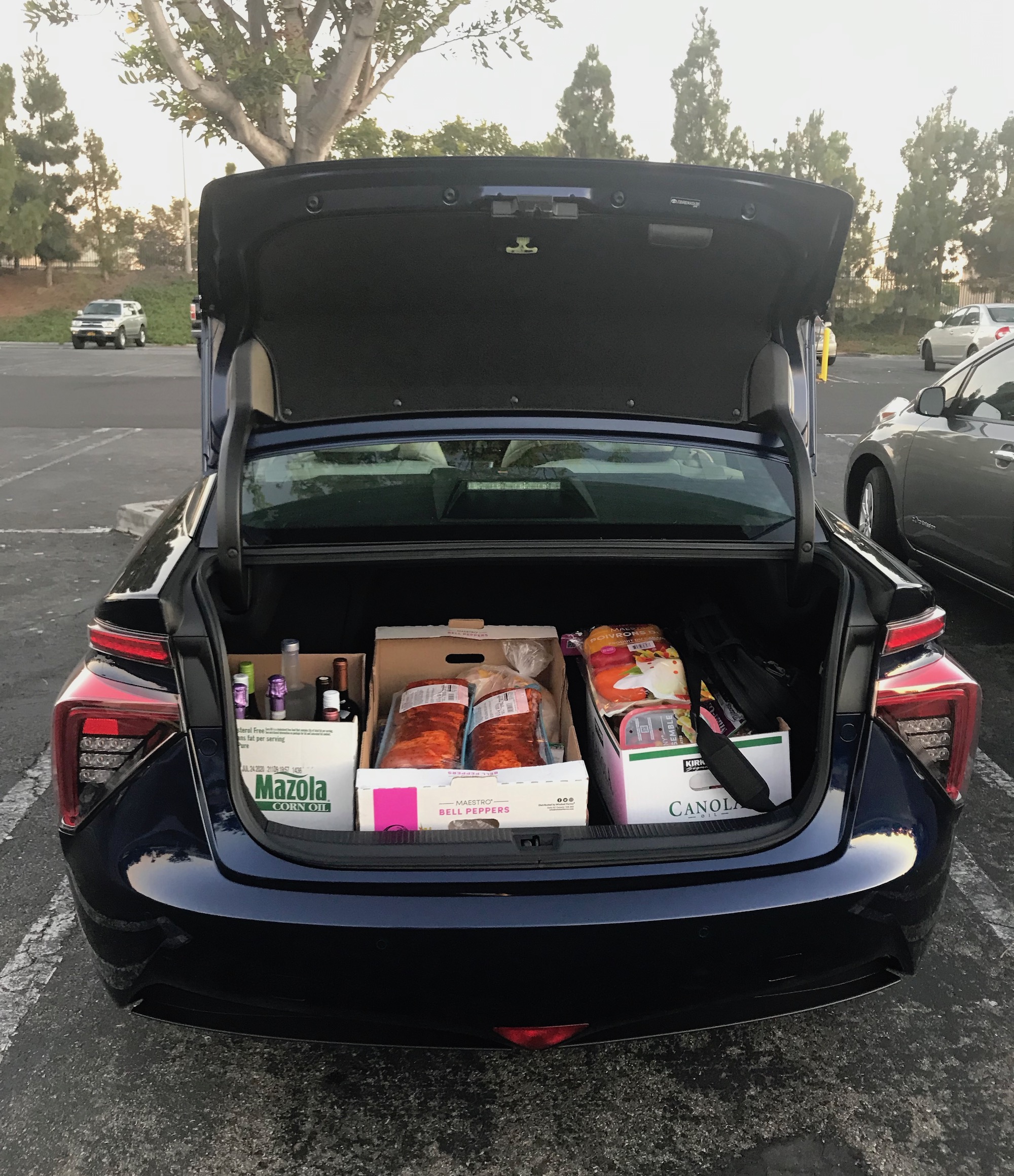 2019 Toyota Mirai Hydrogen Fuel Cell Beats My EV in Range, But … – OC ...