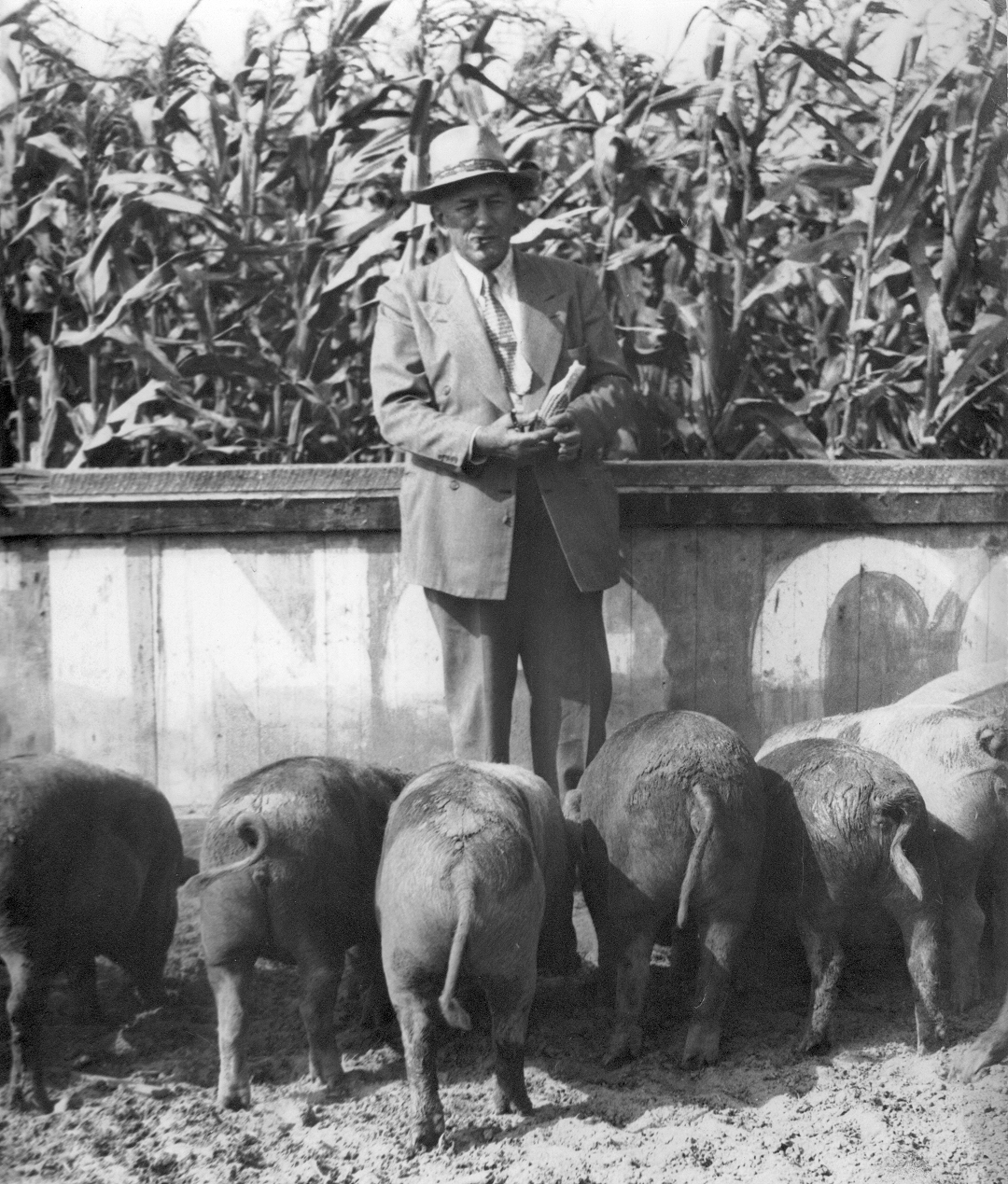 The Warner Files: Ancient Bridge Demolition Scandal Exposed! – OC Weekly